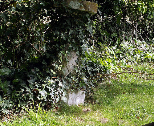 Churchyard, April 2009 | Powderham Church